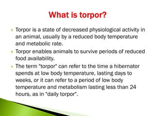 Molecular Basis of Torpor in Mammals .pdf