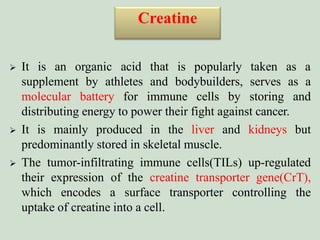 Creatine(CrT) serves as a “Molecular battery” to power killer T cells ...