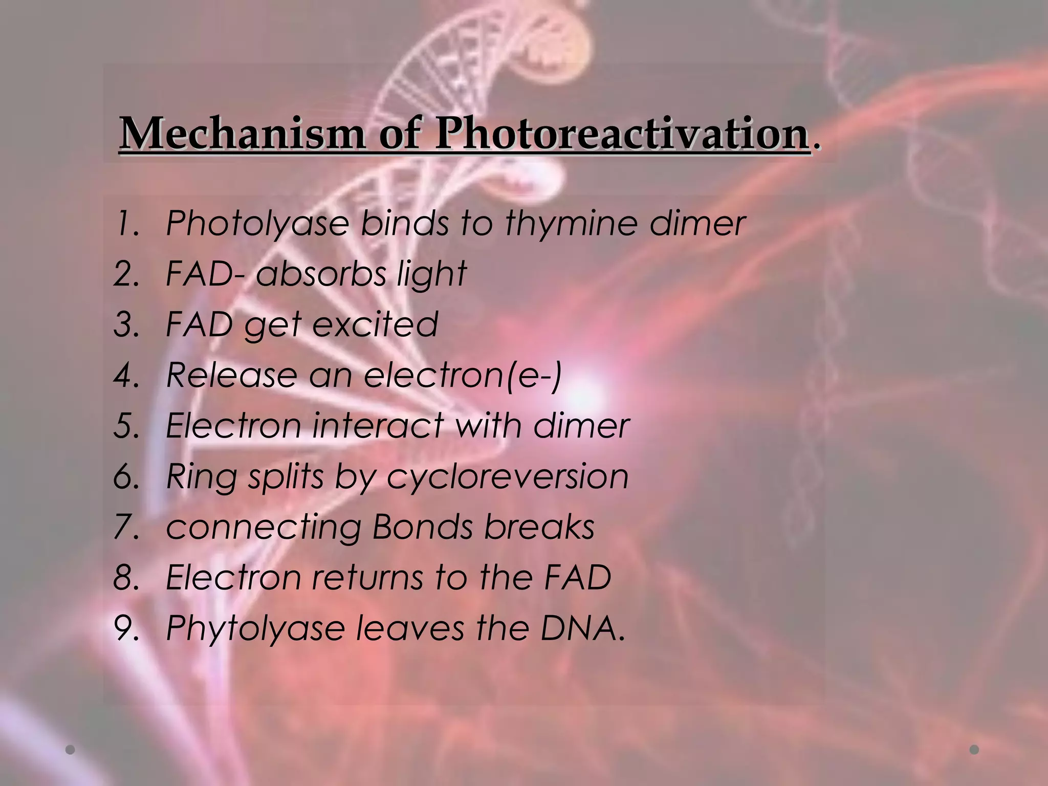 DNA repair , Molecular bio by g4 | PPT