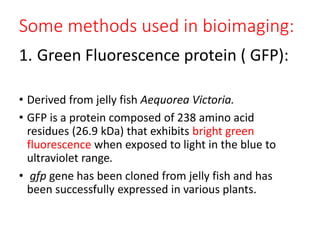 molecularbioimaging-170828111112148.pptx