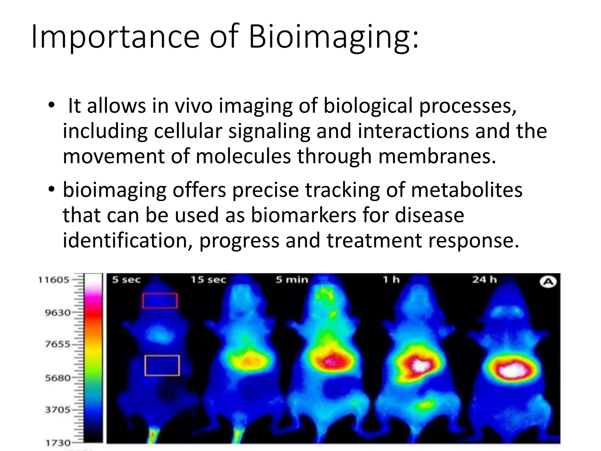 Molecular bioimaging | PPTX