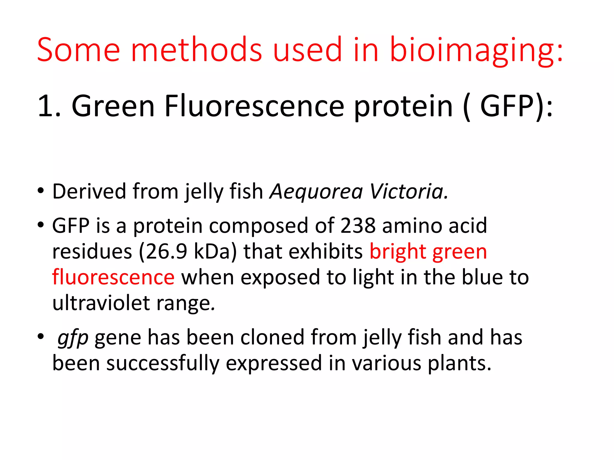 Molecular bioimaging | PPTX