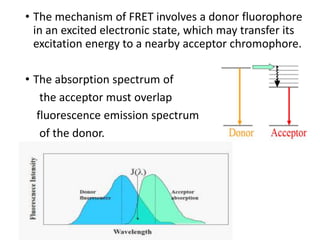 Molecular bioimaging | PPTX