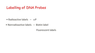 Molecular biologgy diagnostics | PPT