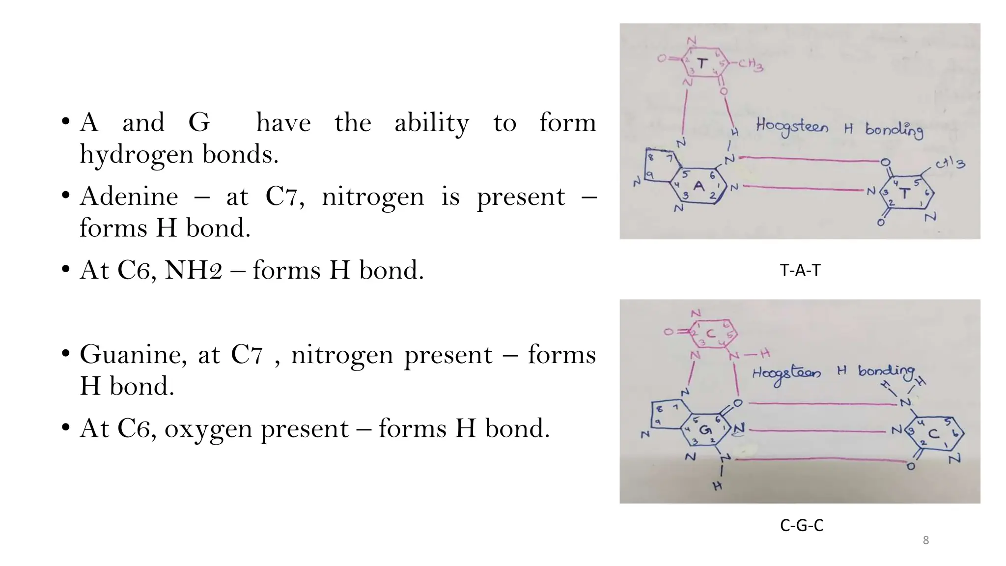 molecular structure of DNA: quadruplex ,DNA triplex, DNA i motif, DNA ...
