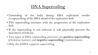 molecular structure of DNA: quadruplex ,DNA triplex, DNA i motif, DNA ...