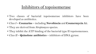 molecular structure of DNA: quadruplex ,DNA triplex, DNA i motif, DNA supercoiling ...