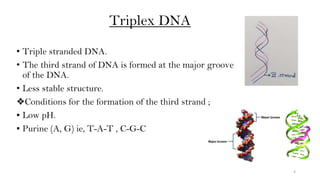 molecular structure of DNA: quadruplex ,DNA triplex, DNA i motif, DNA ...
