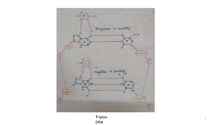 molecular structure of DNA: quadruplex ,DNA triplex, DNA i motif, DNA ...