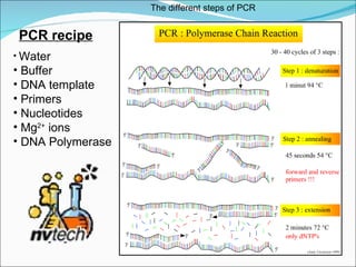 Molecular biology | PPT