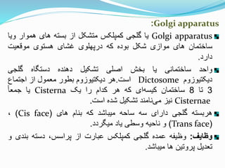 Molecular biology/M.Haleem | PPTX