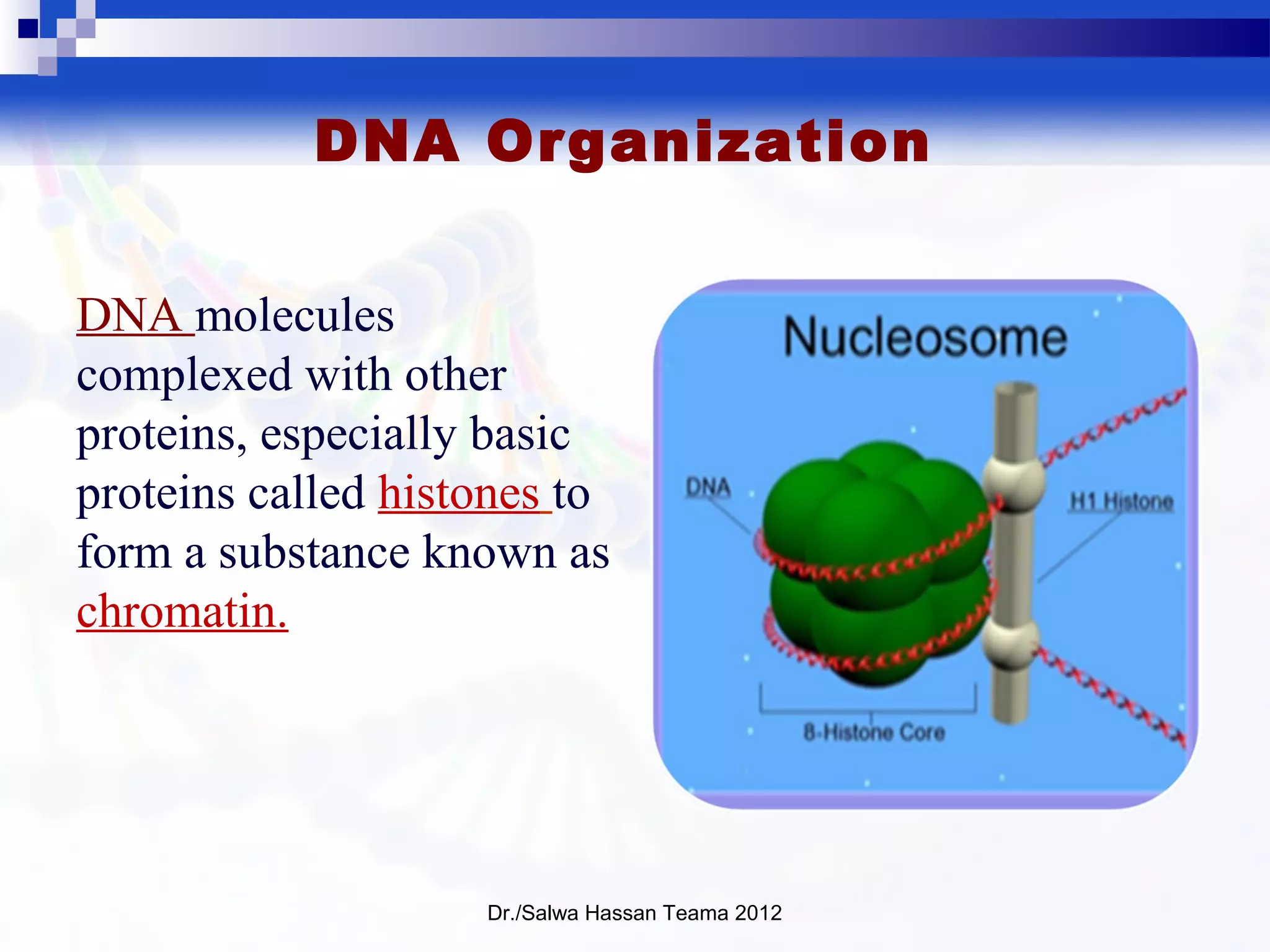 Molecular biology | PPT