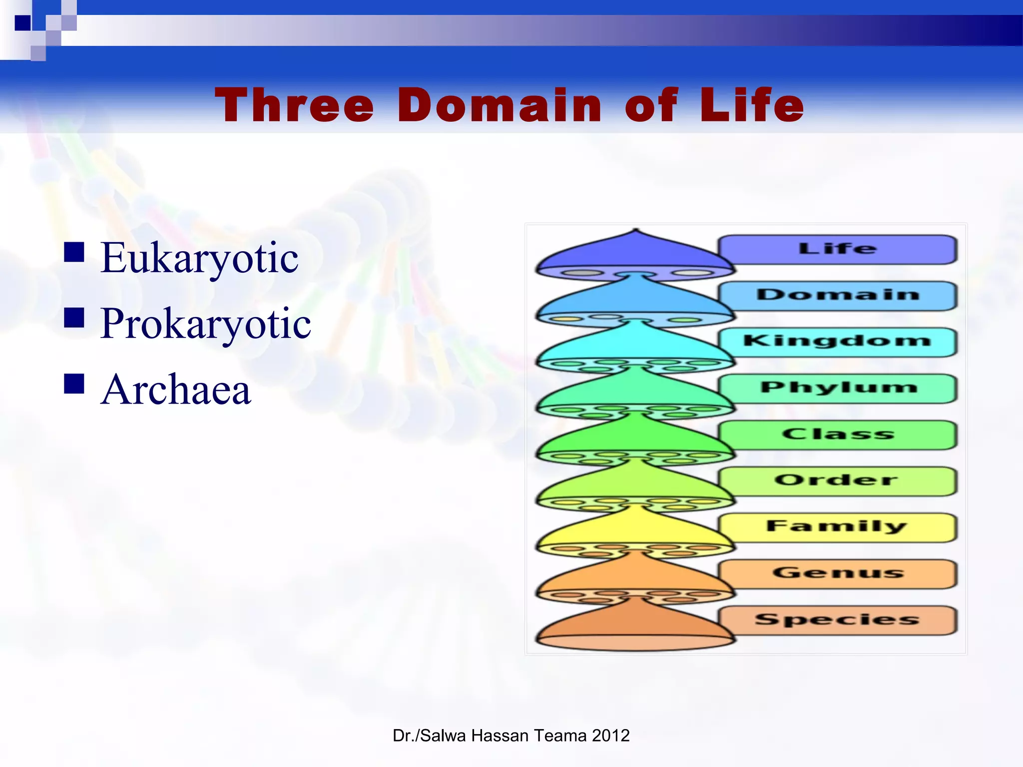Molecular biology | PPT