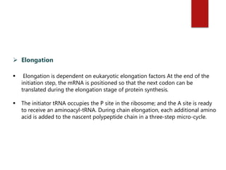 Divakaran Molecular level of Eukaryotic translation | PPTX