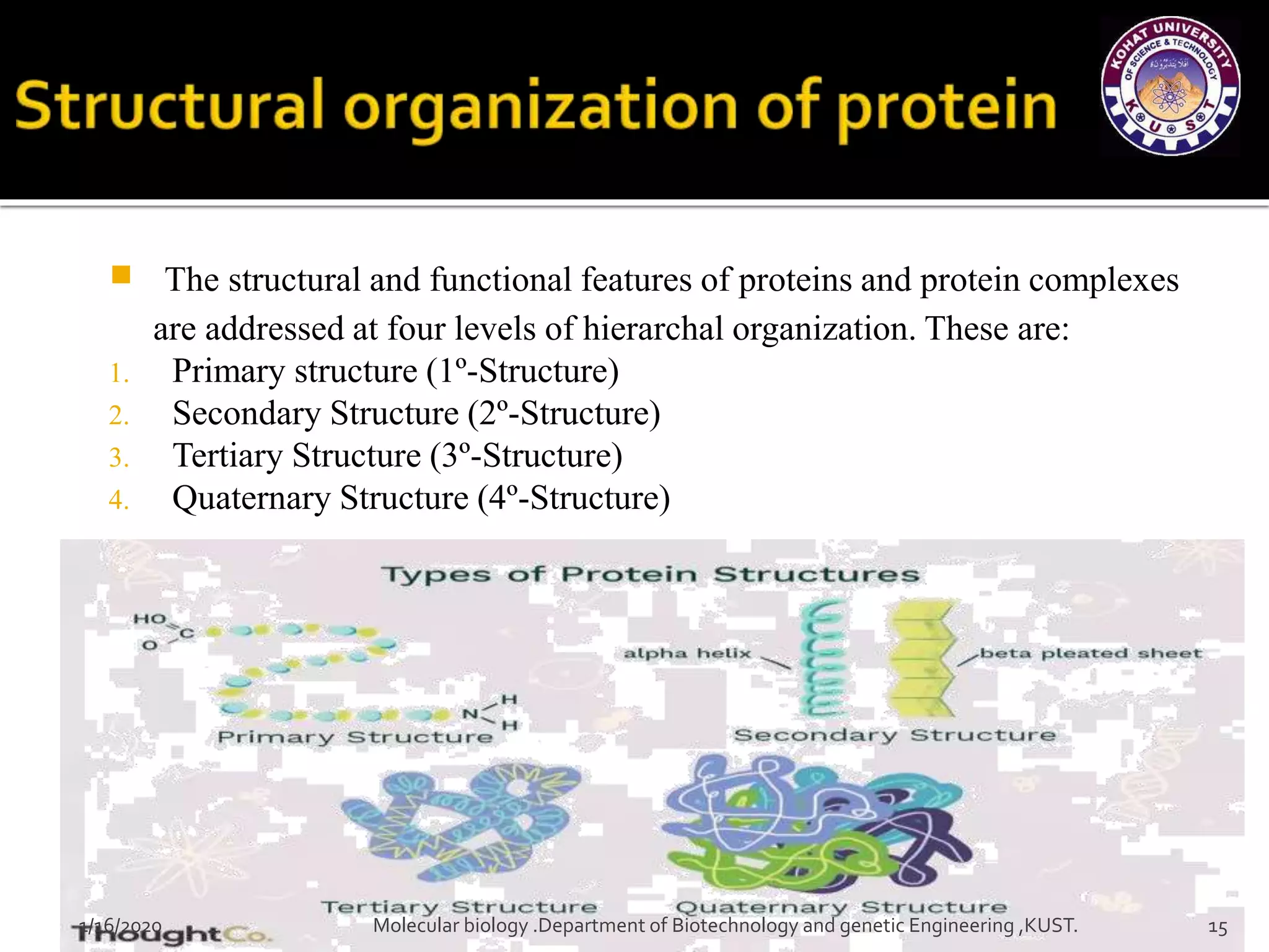 Structure and function of protein | PPTX