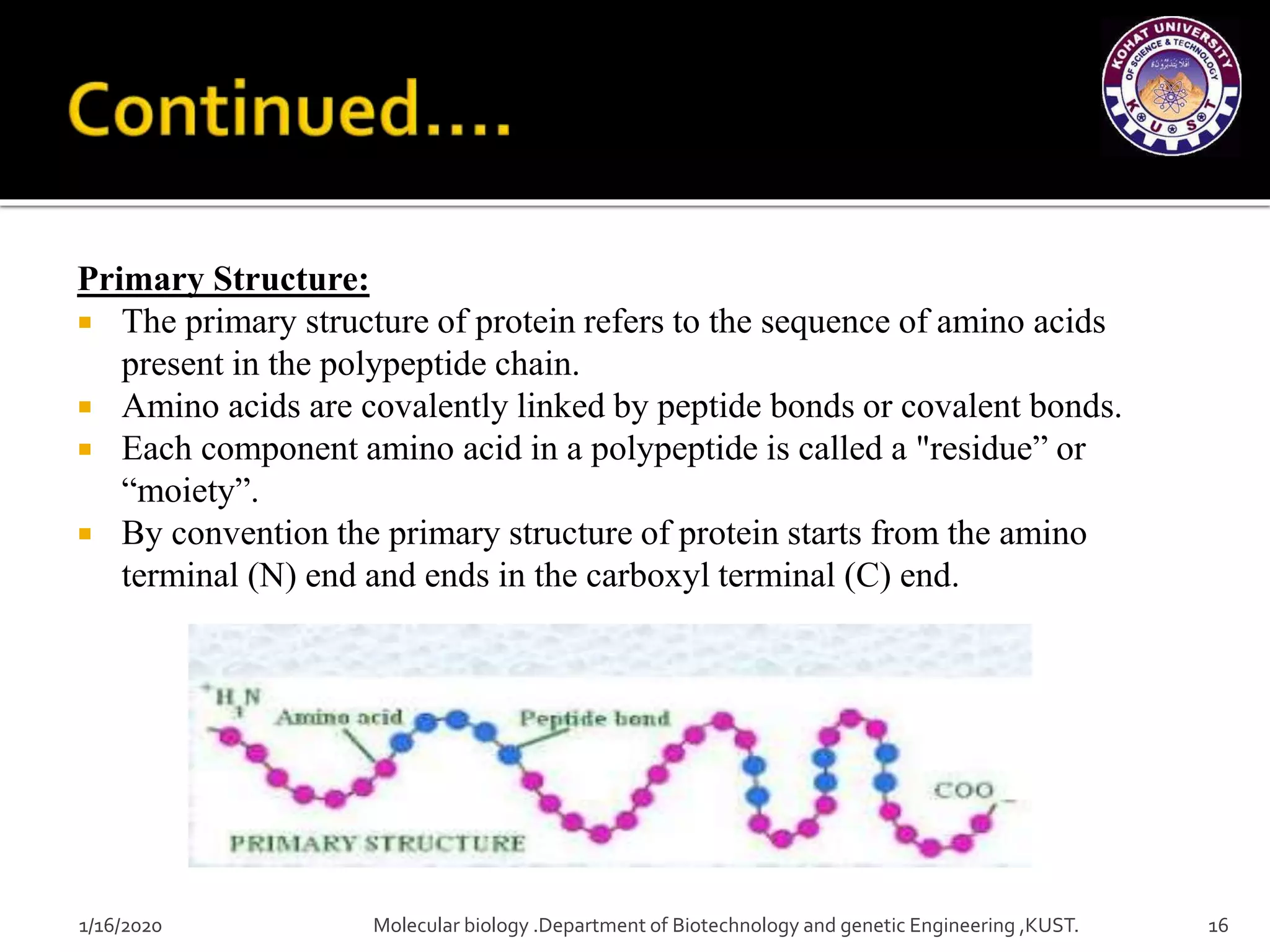 Structure and function of protein | PPTX