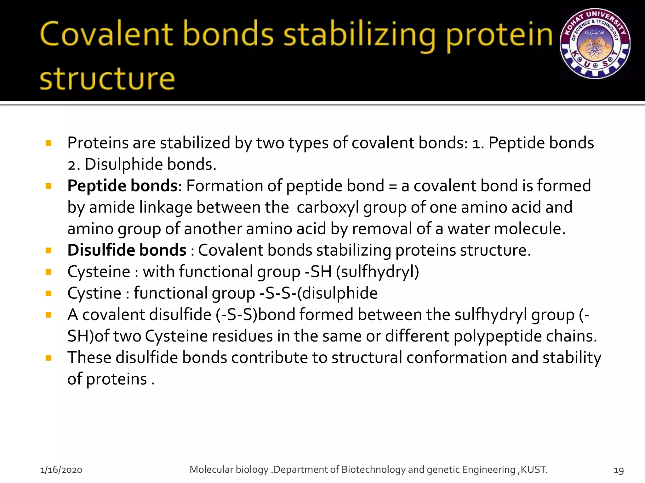 Structure and function of protein | PPTX