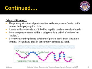Structure and function of protein | PPTX