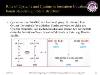 Structure and function of protein | PPTX