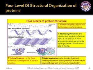 Structure and function of protein | PPTX