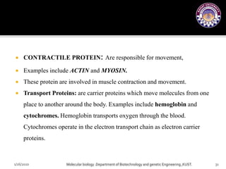 Structure and function of protein | PPTX