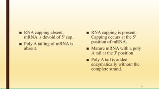 Molecular biology important points!! | PPTX