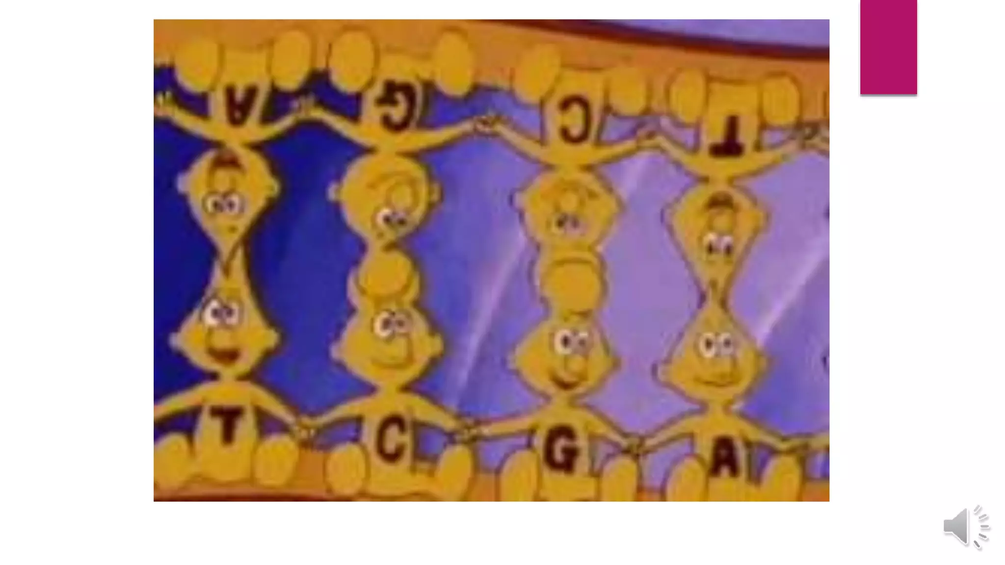 DNA structure, history , definition and double helix model | PPTX ...