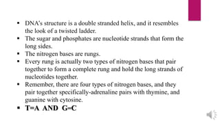DNA structure, history , definition and double helix model | PPTX