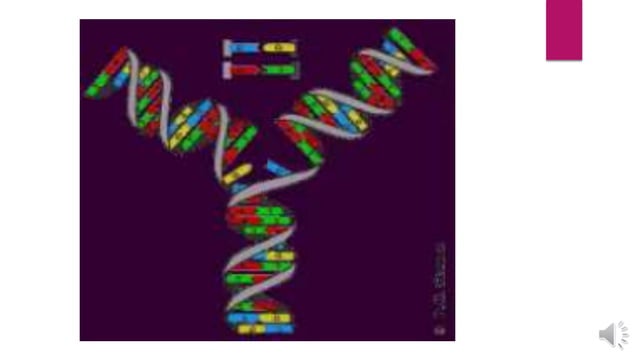 DNA structure, history , definition and double helix model | PPTX ...