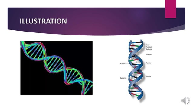 DNA structure, history , definition and double helix model | PPTX ...