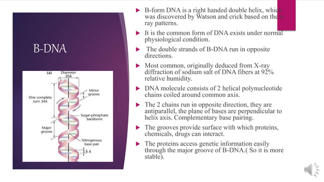 DNA structure, history , definition and double helix model | PPTX ...