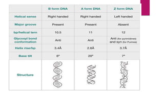 DNA structure, history , definition and double helix model | PPTX