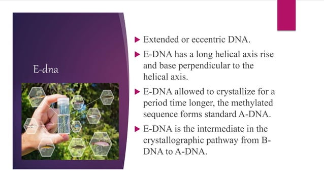 DNA structure, history , definition and double helix model | PPTX ...