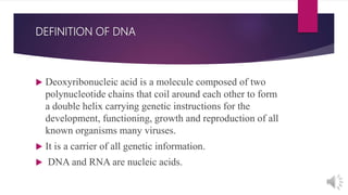 Polynucleotide Definition