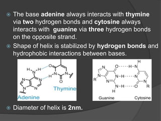 Molecular biology | PPT