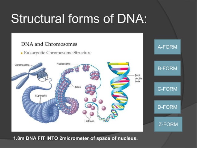 Molecular biology | PPT
