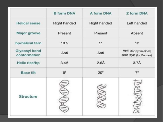 Molecular biology | PPT