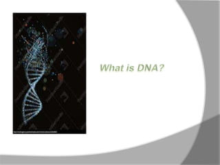 Molecular biology | PPT