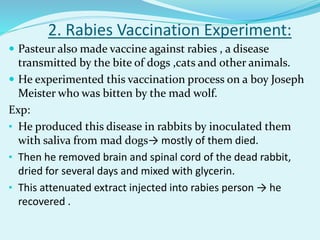 Louis Pasteur Rabbits