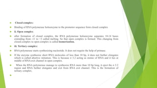 molecular biology.pptx