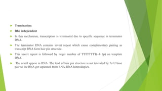 molecular biology.pptx