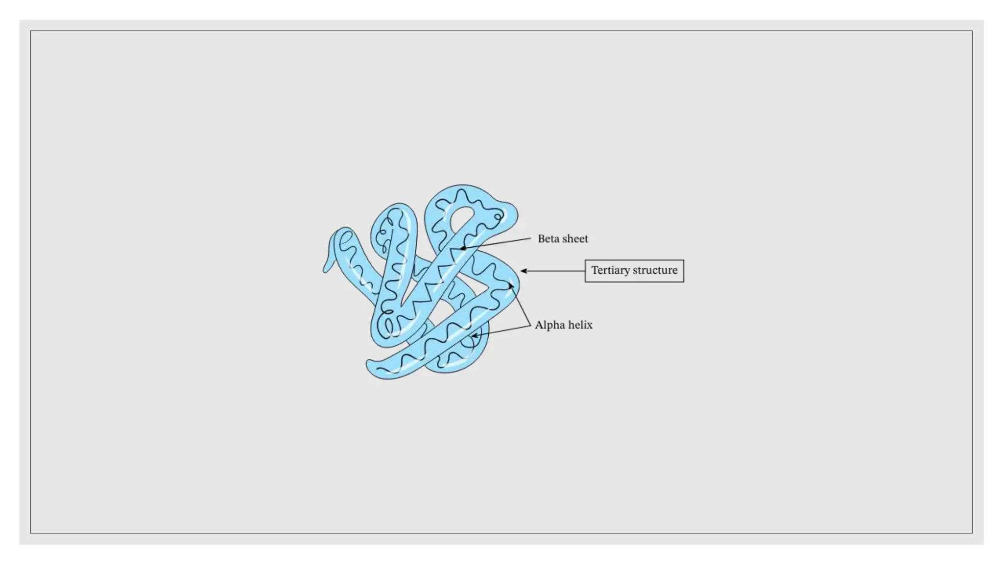 Structure Of Protein Pptx Pptx