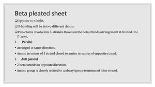 structure of protein pptx | PPTX