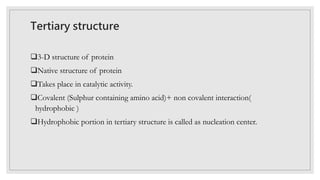 structure of protein pptx | PPTX