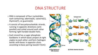 molecular biology vet biochem for doctors.pdf