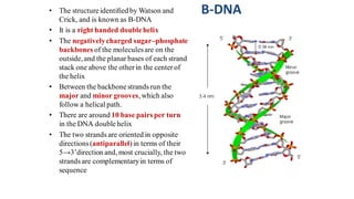 molecular biology vet biochem for doctors.pdf