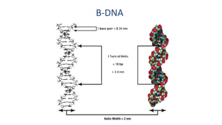 molecular biology vet biochem for doctors.pdf
