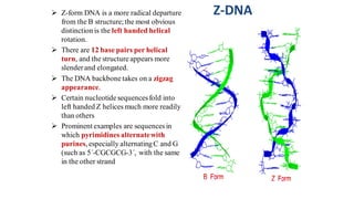 molecular biology vet biochem for doctors.pdf