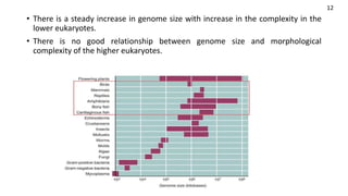 C value paradox, DBA renaturation kinetics.pptx