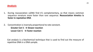 C value paradox, DBA renaturation kinetics.pptx
